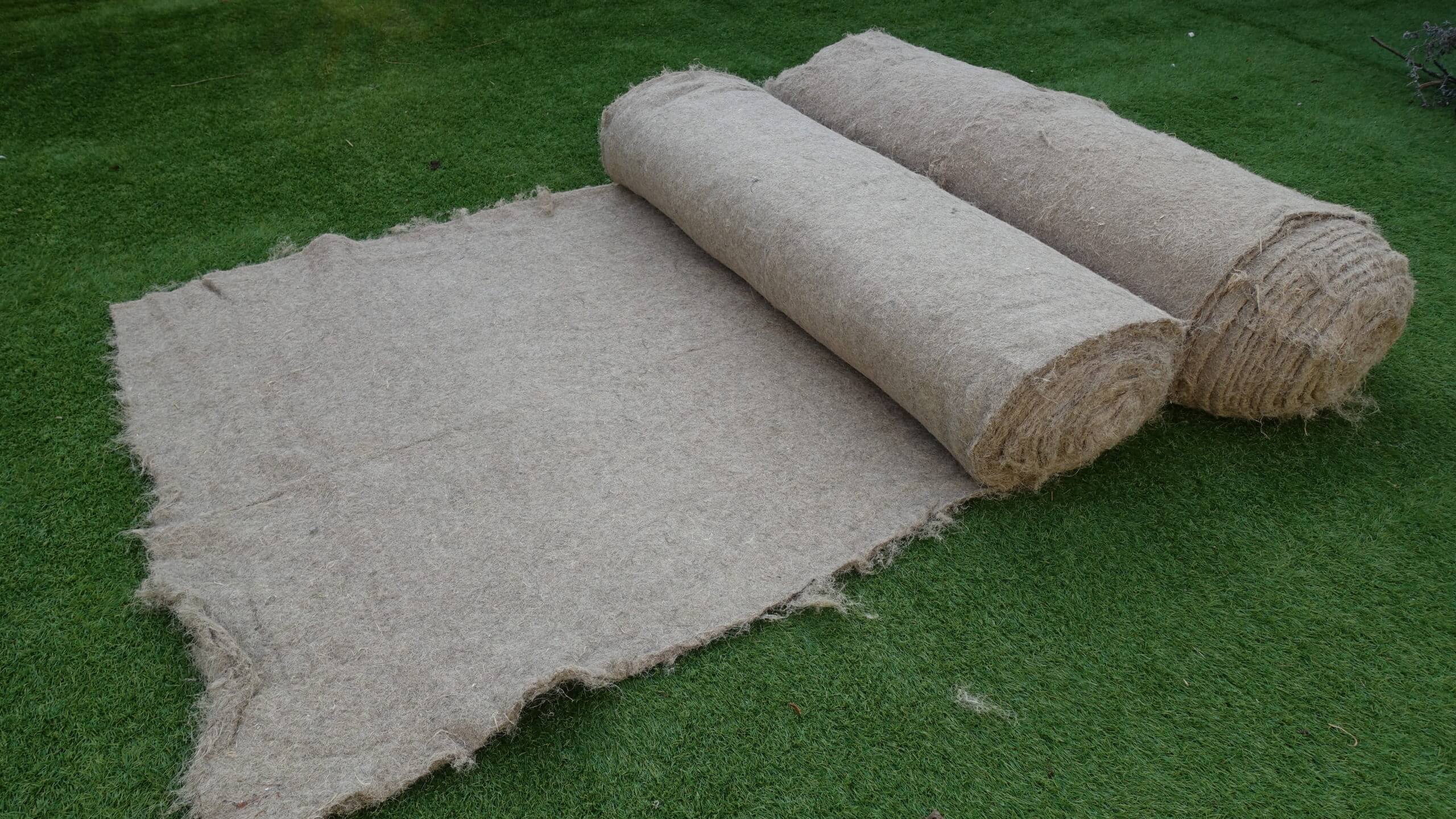 Sustainably constructing garden buildings editorial